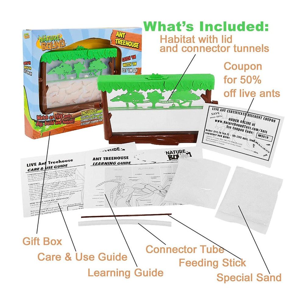 Ant Treehouse...@Thin Air - ToyTime| ToyTime