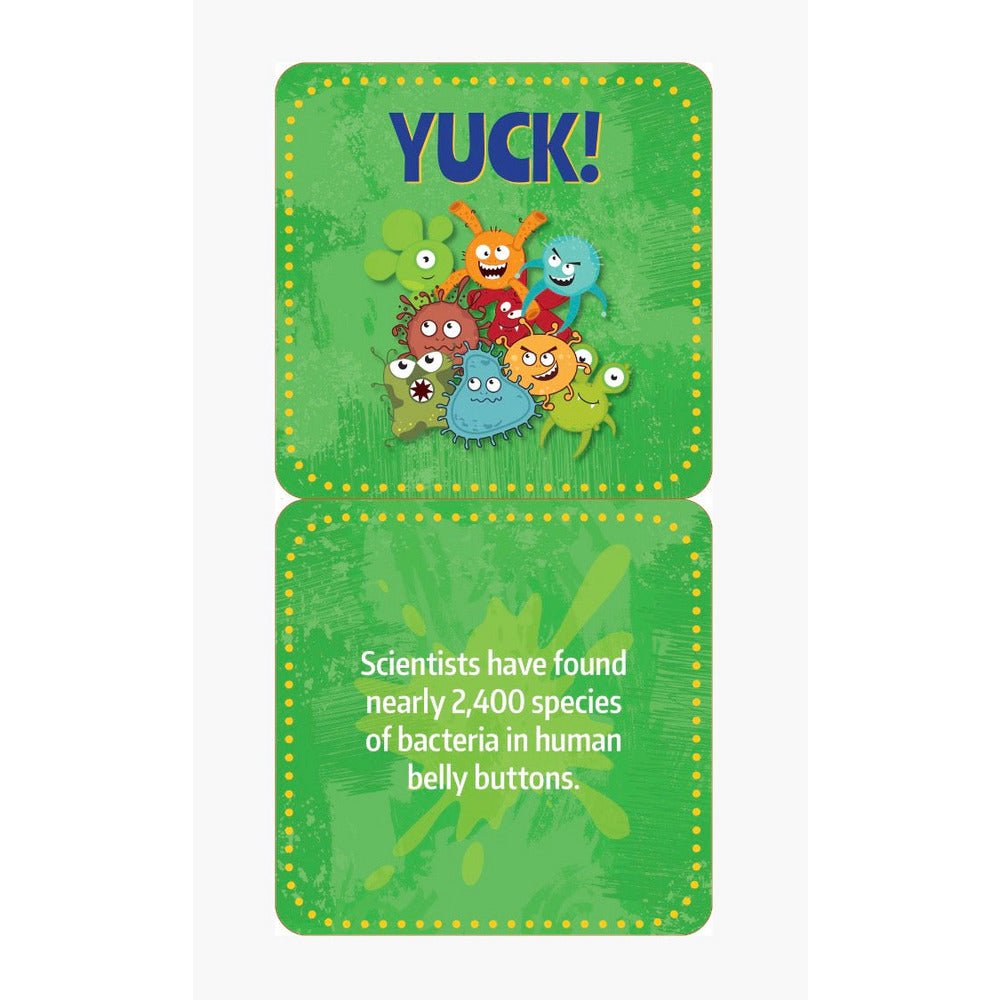 Gross Facts Lunch Box Notes - ToyTime| ToyTime