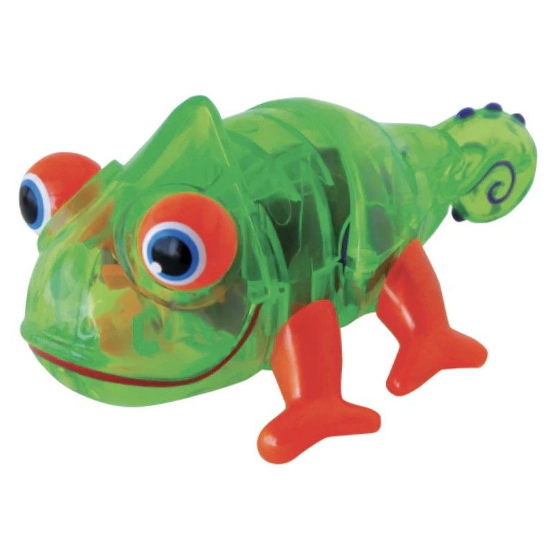 Wind-Up Neil Chameleon - ToyTime| ToyTime